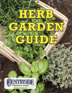 Herb Garden Guide - Countryside